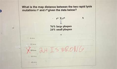 Solved What Is The Map Distance Between The Two Rapid Lysis
