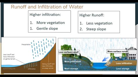 Infiltration And Runoff Youtube