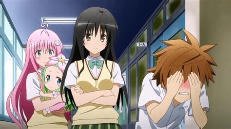 Top 50 Best Ecchi Harem Anime To Watch