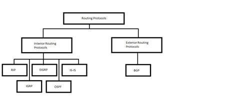 Routing Protocols With The Help Of Diagram