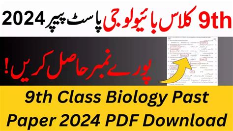 11th Class Rechecking Form 2023 Bise Dg Khan Board How To Apply For Rechecking And Download Form