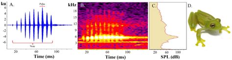 oscillogram a audiospectrogram b and power spectrum c of the