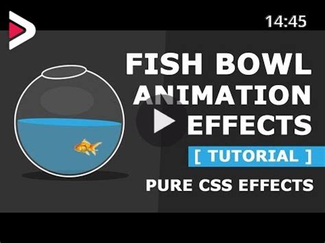 Pure CSS Fish Bowl Animation Effects Latest Html and CSS Animation Effects Tutorial دیدئو dideo