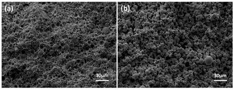 sem micrographs of green parts c a before and b after solvent