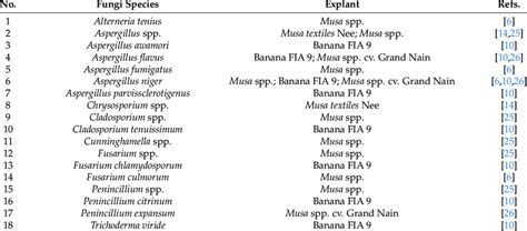 Fungi Species That Cause Contamination In Musa Spp Tissue Culture Download Scientific Diagram