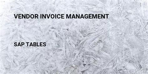 Vendor Invoice Management Table In Sap