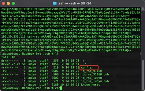 一台电脑配置多个github gitlab帐号的ssh key切换 两个gitlab ssh csdn博客