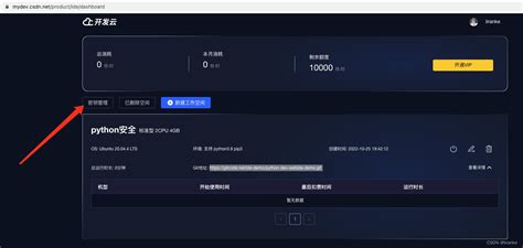 云ide初步使用 云ide中ssh的生成和导入 ssh ide csdn博客