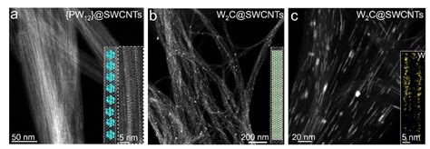 南科大杨烽 王阳刚jacs封面：单壁碳纳米管限域的超细一维碳化物各向异性生长 X Mol资讯