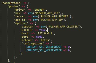 Failed WebSocket Is Closed Before The Connection Is Established Issue Beyondcode