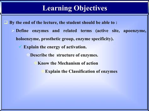 02 Enzymes Structure And Function Pptx