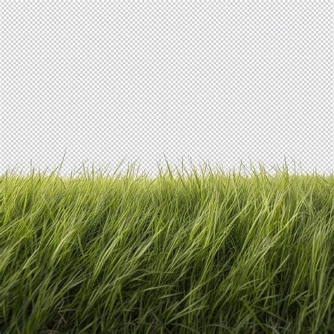 Grass And Land Png Premium Ai Generated Psd