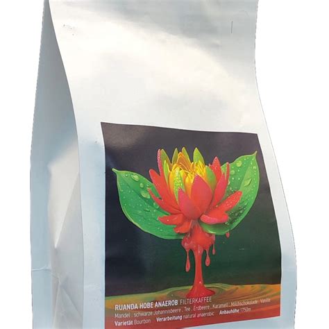 Sonson Antioquia Kolumbien Filter Kaffee Springer Kaffeerösterei Rügen