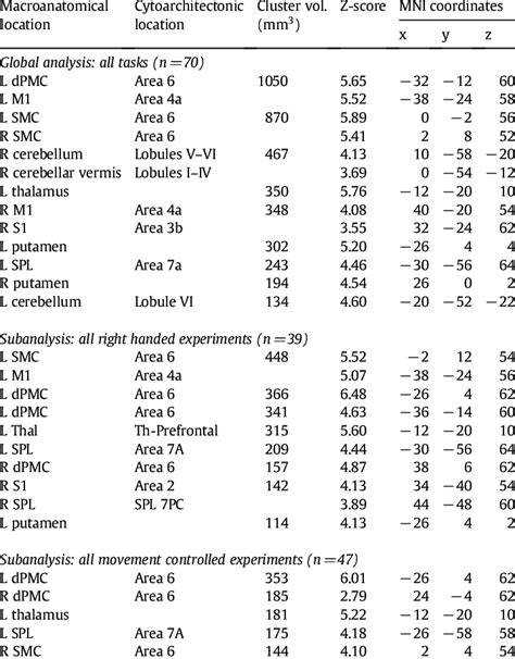 Coordinates Of Peak Activations Revealed In The Global Analysis