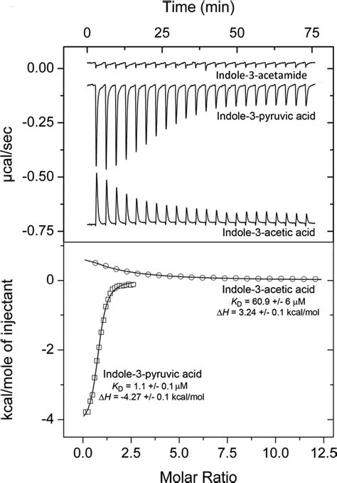Isothermal Titration Calorimetry Showing The Binding Of Auxinic Download Scientific Diagram