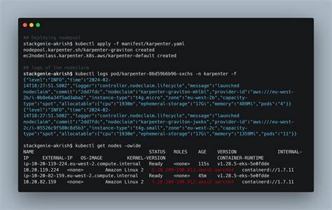 Setting Up An Eks Cluster With Karpenter On Graviton Processors