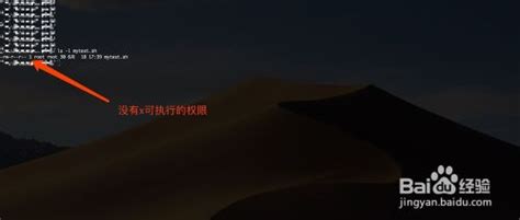 linux permission denied解决方法