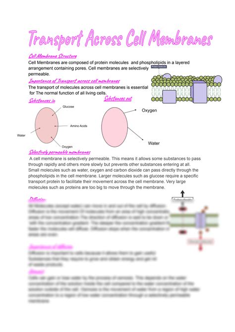 SOLUTION Cell Membrane Structure Studypool