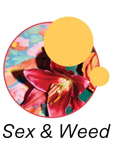 Sex W More Sensation The 5 Best Weed Products For Sex How To Do The Pot
