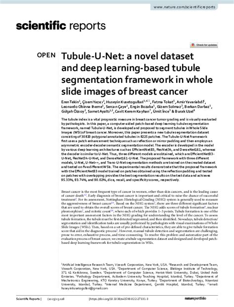 Pdf Tubule U Net A Novel Dataset And Deep Learning Based Tubule