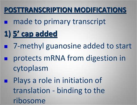 Protein Synthesis The Details Ppt Download