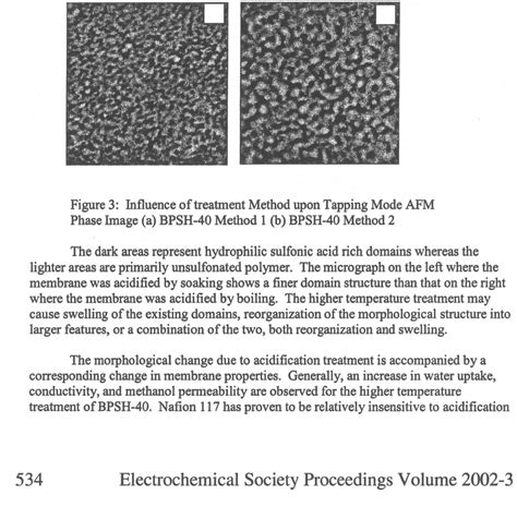 Figure 3 From The Effect Of Bpsh Post Treatment On Dmfc Performance And