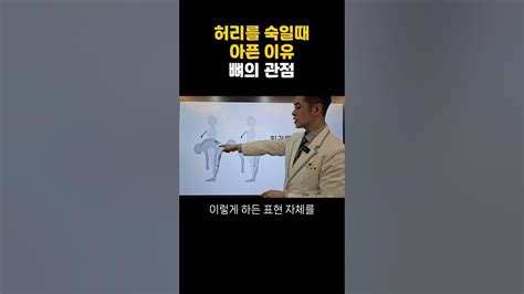 허리를 숙일 때 아픈 이유 뼈의 관점 Youtube