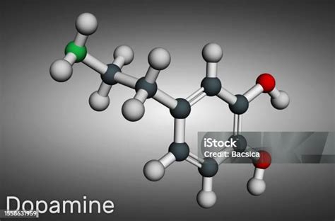 도파민 호르몬 분자 분자 모델 3d 렌더링 3차원 형태에 대한 스톡 사진 및 기타 이미지 3차원 형태 과학 구 Istock