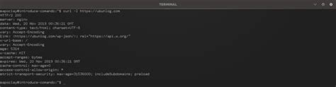 Check If A Website Is Active Or Inactive From The Terminal