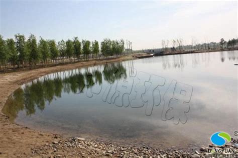 常见的水环境污染问题及治理方法 知乎