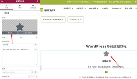 icon element插件安装使用教程（免费版） 【nutswp】
