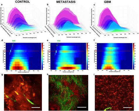 Analysis Of Emitted Fluorescence For The Different Groups A C Download Scientific Diagram