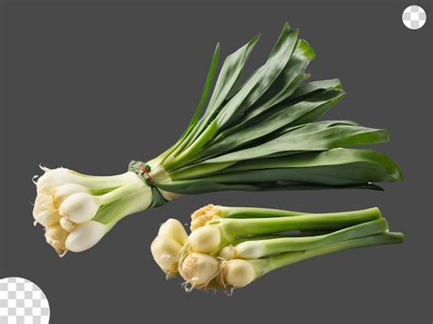 Premium Psd Leek Png Transparent