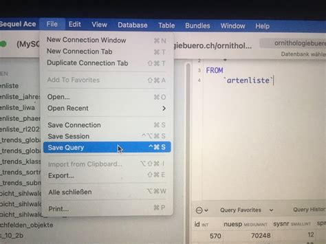 Missing `save Query As ` Menu Item And Shortcut Since Last Update