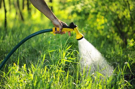 Everything You Ll Need To Be A Serious Gardener