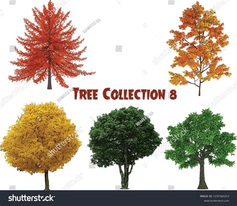 Vector Set Tree Collection Stock Vector Royalty Free 2197565253 Shutterstock