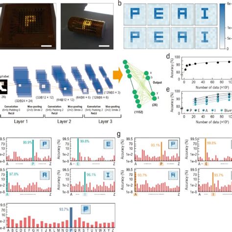 A Photograph Of The 10 × 10 Perovskite Photodetector Array Under Download Scientific Diagram