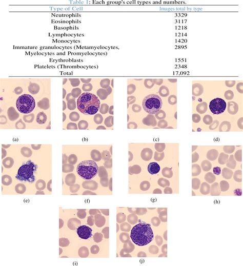 Table From Automatic Classification Of Blood Cell Images Using Convolutional Neural Network