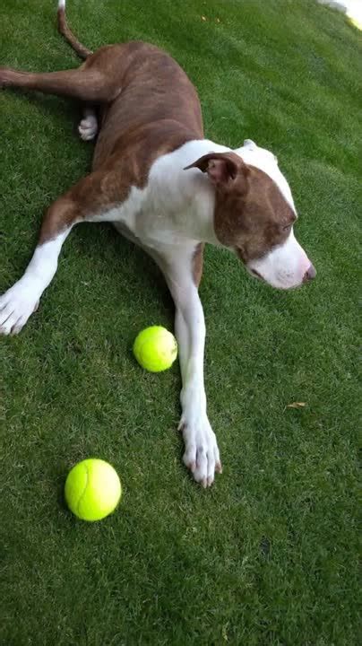 Video Nicky Stimson On Linkedin Worklifebalance Motivation