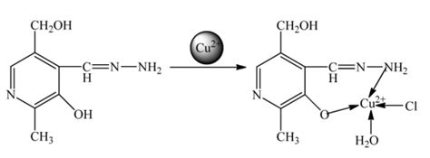 A Pyridoxal Based Chemosensor For Visual Detection Of Copper Ion And Its Application In Bioimaging