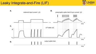 Spiking Neural Network An Introduction I Pptx Physics Science