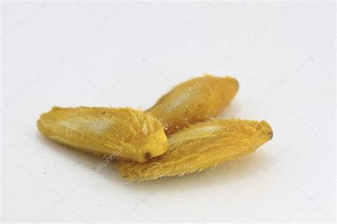 What Is Mango Kernel At Jordan Old Blog