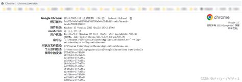 查看 Chrome Driver 版本号，及下载如何查看chromedriver版本 Csdn博客