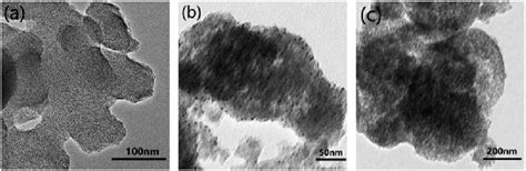 Tem A Of Mcm 41 B Of Mcm 41 Ssdna Aunp C After Download Scientific Diagram