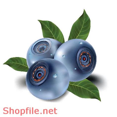 Hình Chùm Nho đẹp