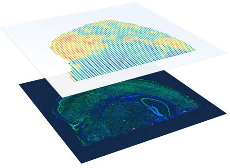 Spatial Omics بیو مجیک ژن Bmg Biotech