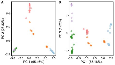 principal component analysis with filtered samples each dot represents