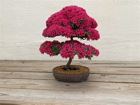 Jim Highsmith On Linkedin Agilesoftwaredevelopment Scrummaster Agilemindset…