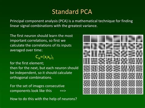 Advanced Topic In Cognitive Neuroscience And Embodied Intelligence