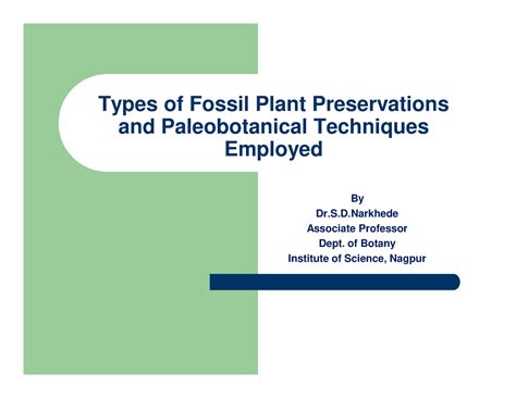Preservation Of Fossils Types Of Fossil Plant Preservations And Paleobotanical Techniques